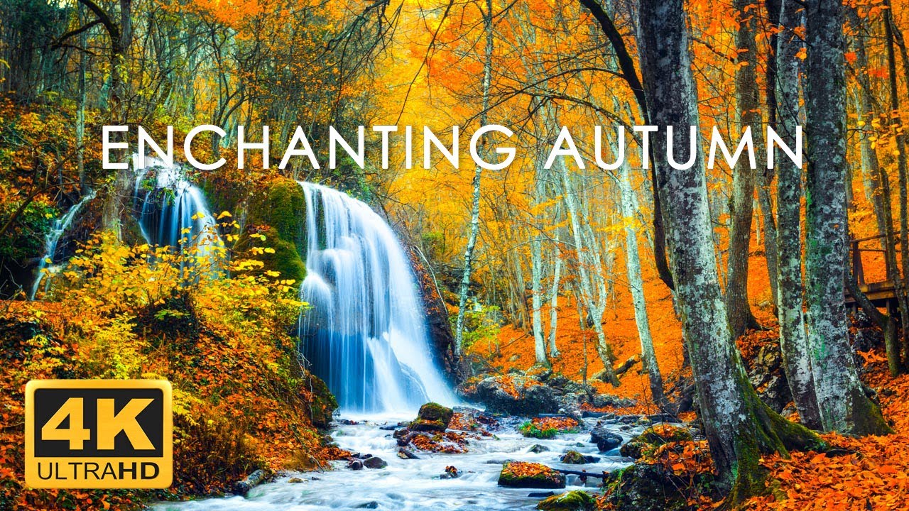 11 HRS Incredible Fall Foliage - Best 4K Autumn Nature Scenes from ...