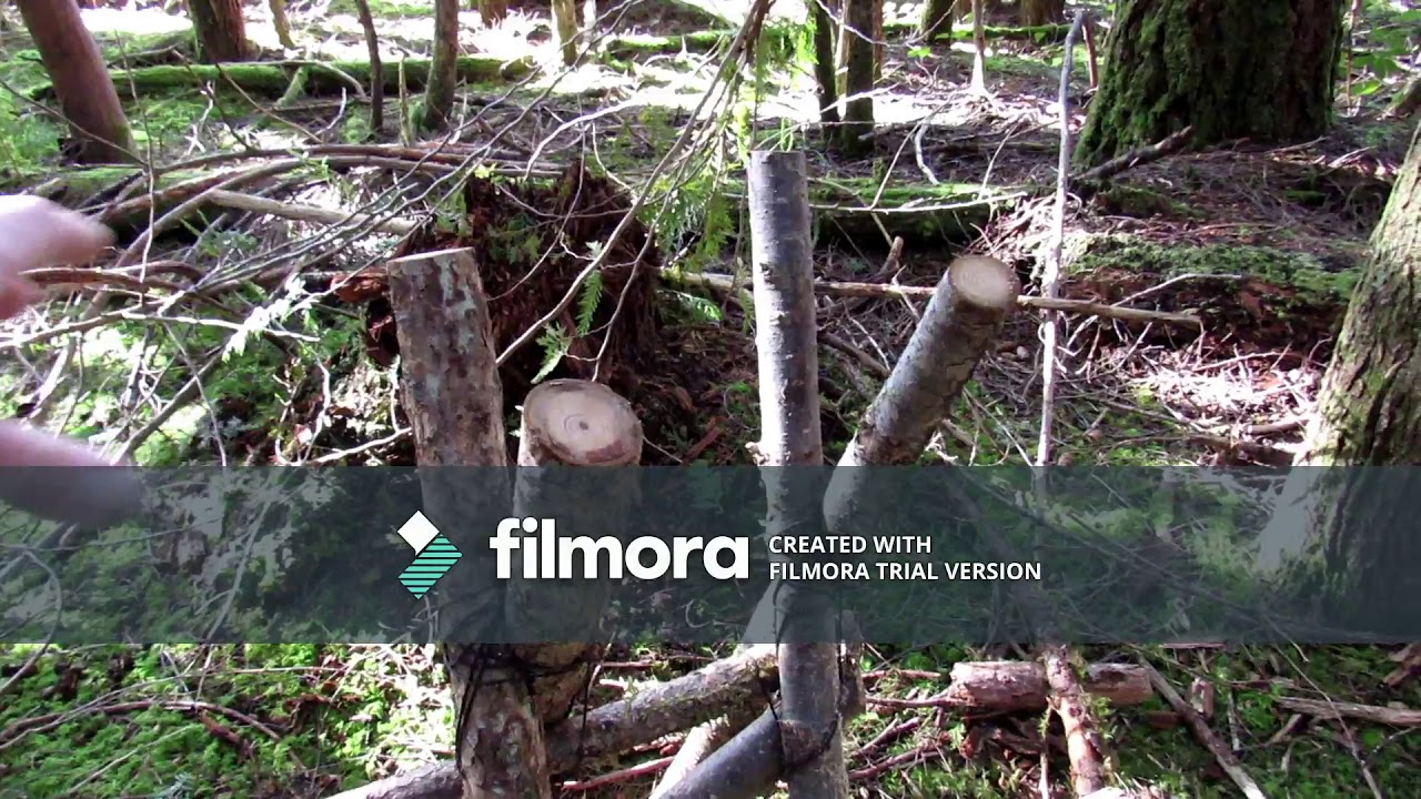 Major Progress On The Camp | Bonus Footage! - YouTube