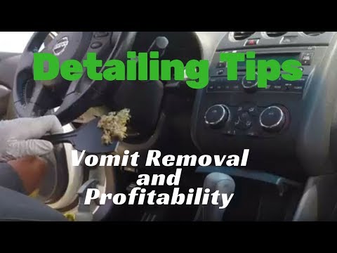 Detailing Tips: Vomit removal and profitability