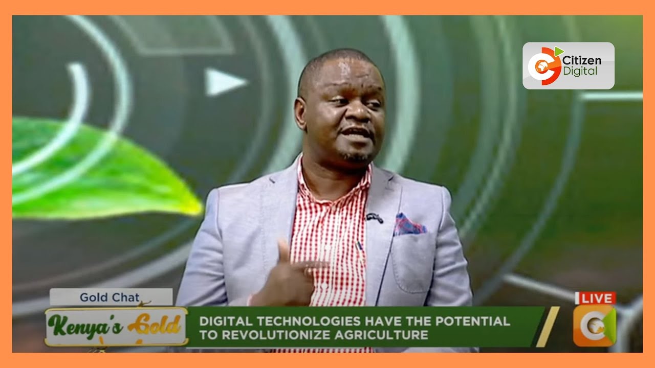Kenya's Gold Chat | Digital transformation in agriculture (Part 1 ...