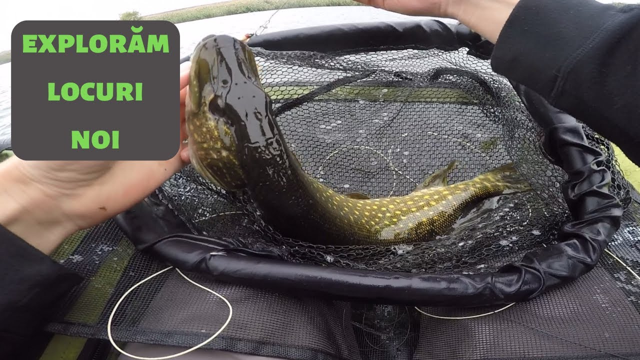 PESCUIT la ȘTIUCĂ cu MUSCĂ artificială - PESCUIT la STREAMER - YouTube