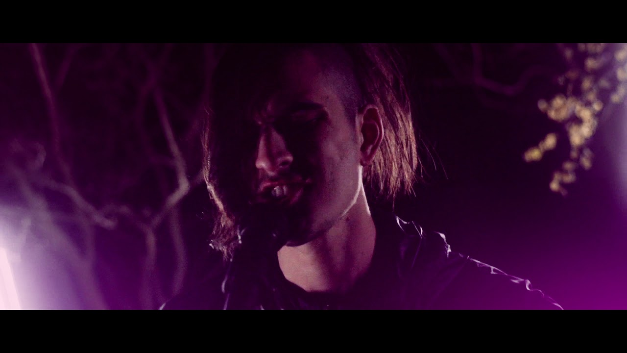 Silvercord - Flora [Official Music Video] - YouTube