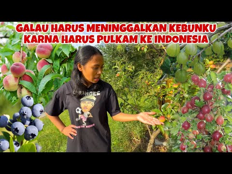 KEBUN TOUR TERAKHIR SEBELUM PULKAM KE INDONESIA