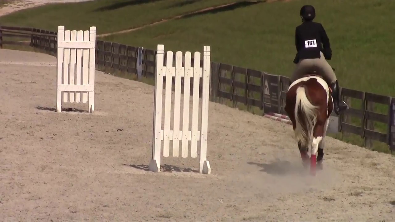 BCET UNG Hunt Seat Show ||09/30/17|| Lindsay Garrison - YouTube