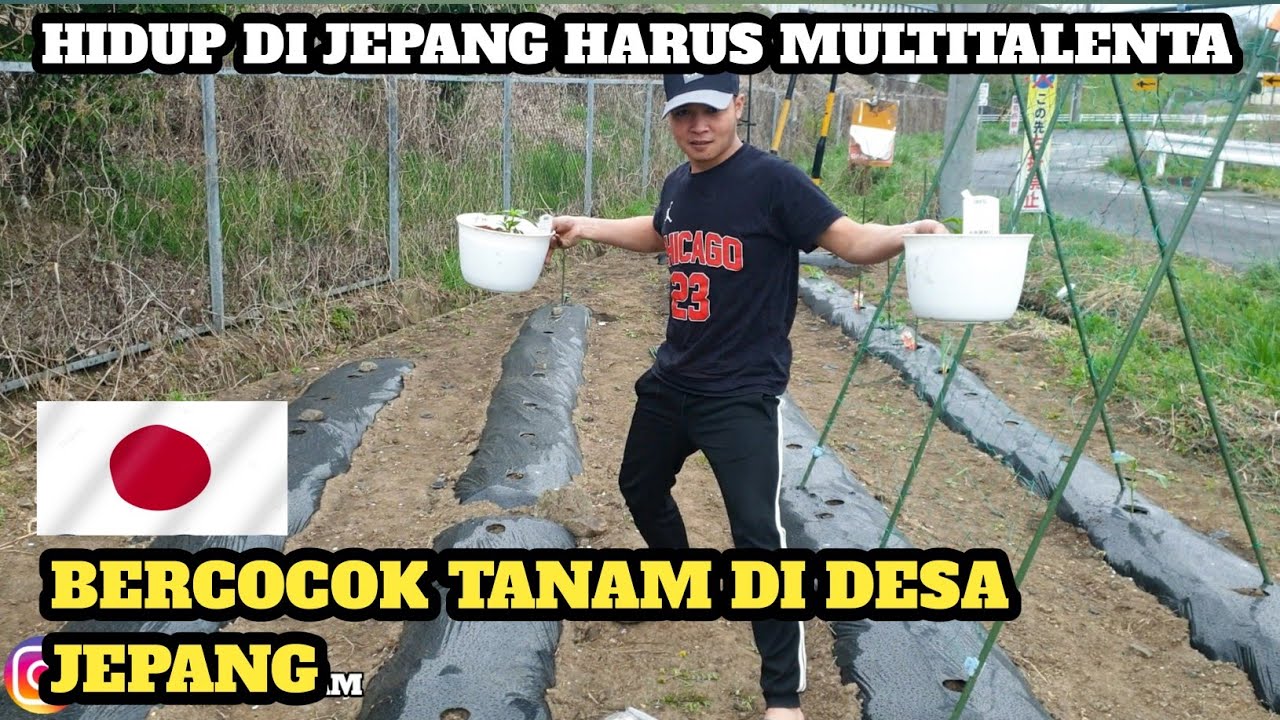 BERCOCOK TANAM DI DESA JEPANG, DEMI MENCUKUPI HIDUP DI PERANTAUAN - YouTube