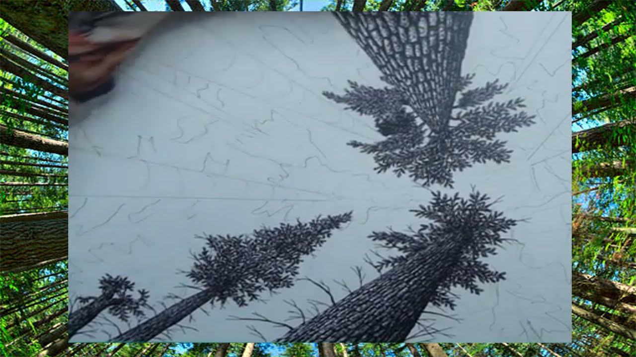 Part 2 - INK DRAWING A PINE FOREST IN PERSPECTIVE VIEW - YouTube