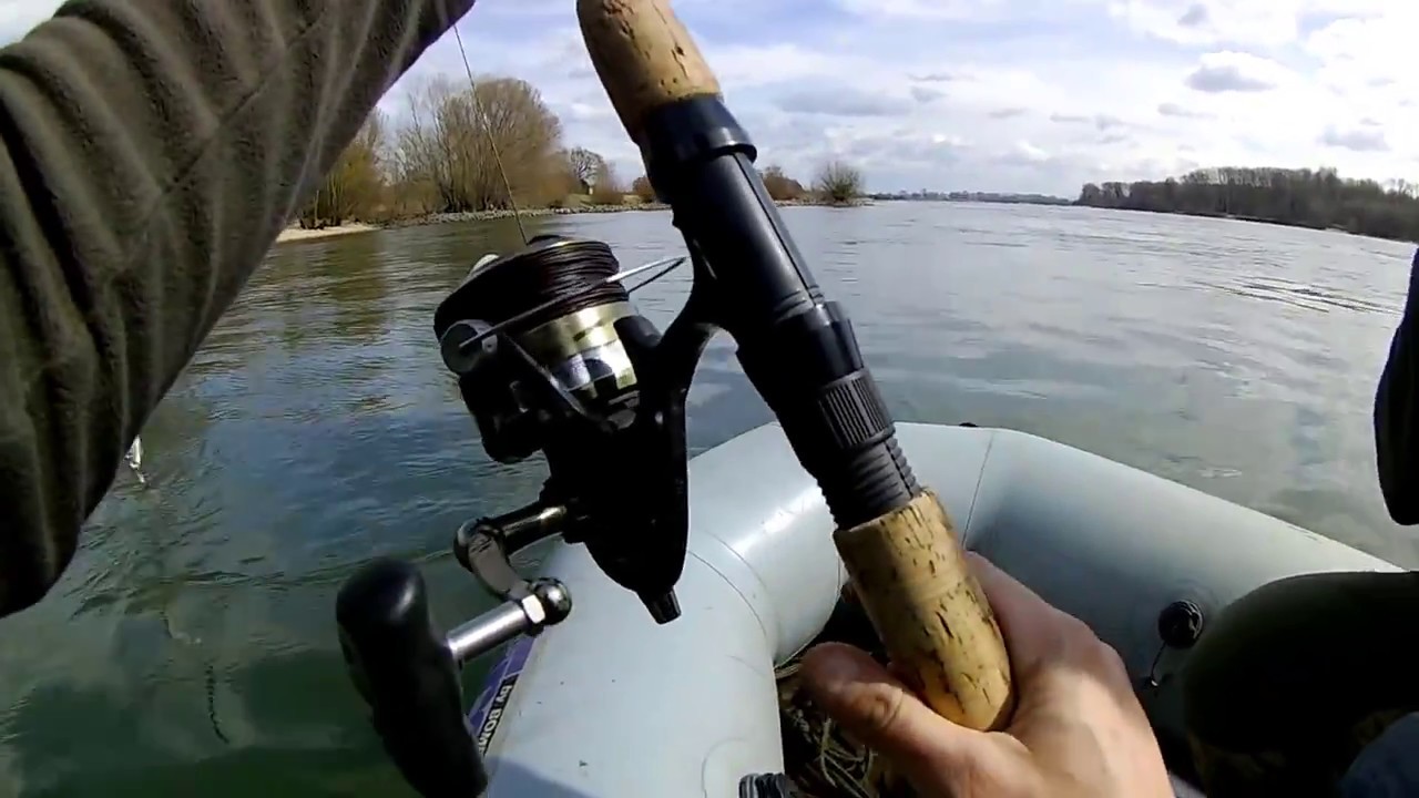 Angeln am Rhein auf Waller 2018 - YouTube