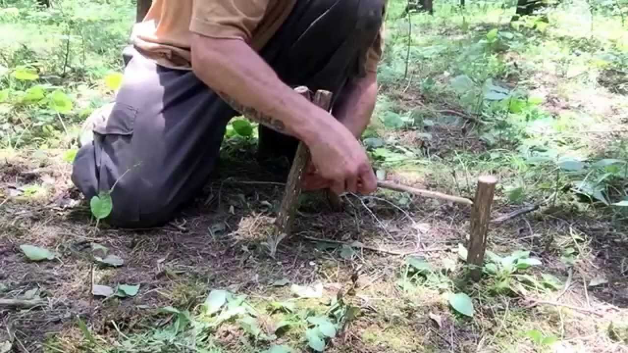 Survival trapping - X stick spring snare - YouTube