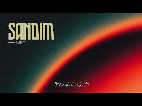 Salih Y - Sandım | Official Audio