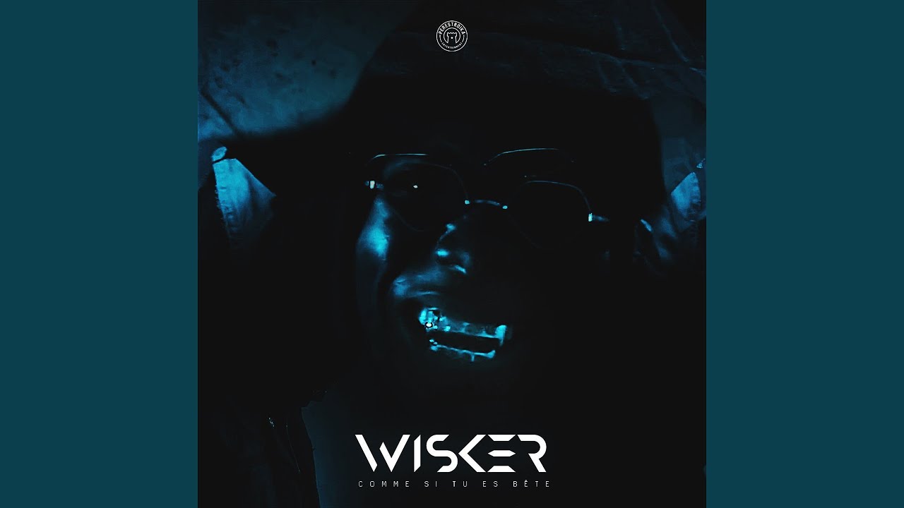 Comme si tu es bête - YouTube