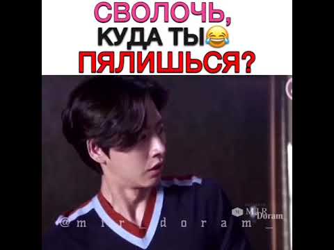 Сволочь, куда ты пялишься?😂