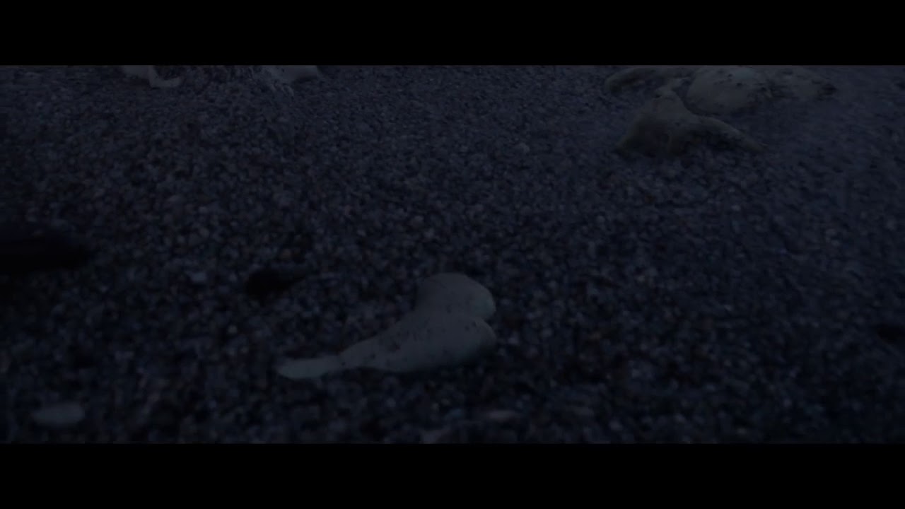 Terminator dark fate -John Connor death scene - YouTube