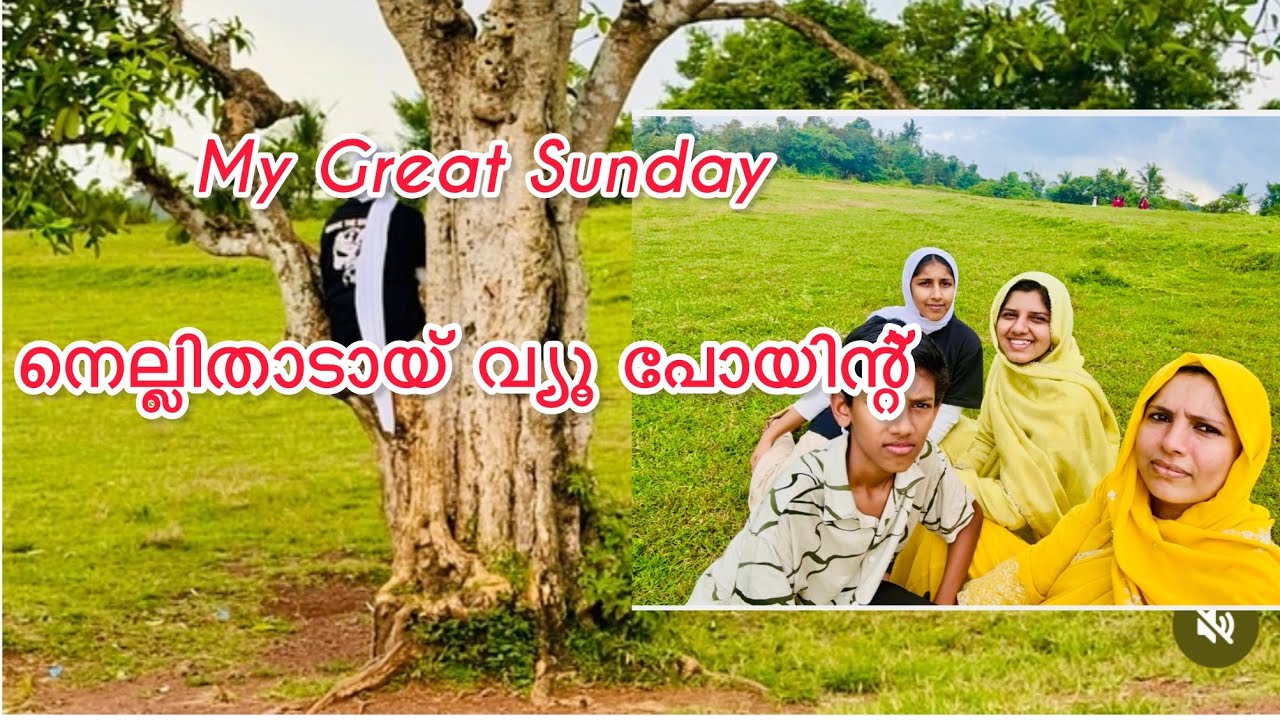 നെല്ലിതടായ് വ്യൂ പോയിന്റ് #കാഞ്ഞിരത്തടായി വ്യൂ പോയിന്റ് 😍/#Vettupaara# ...