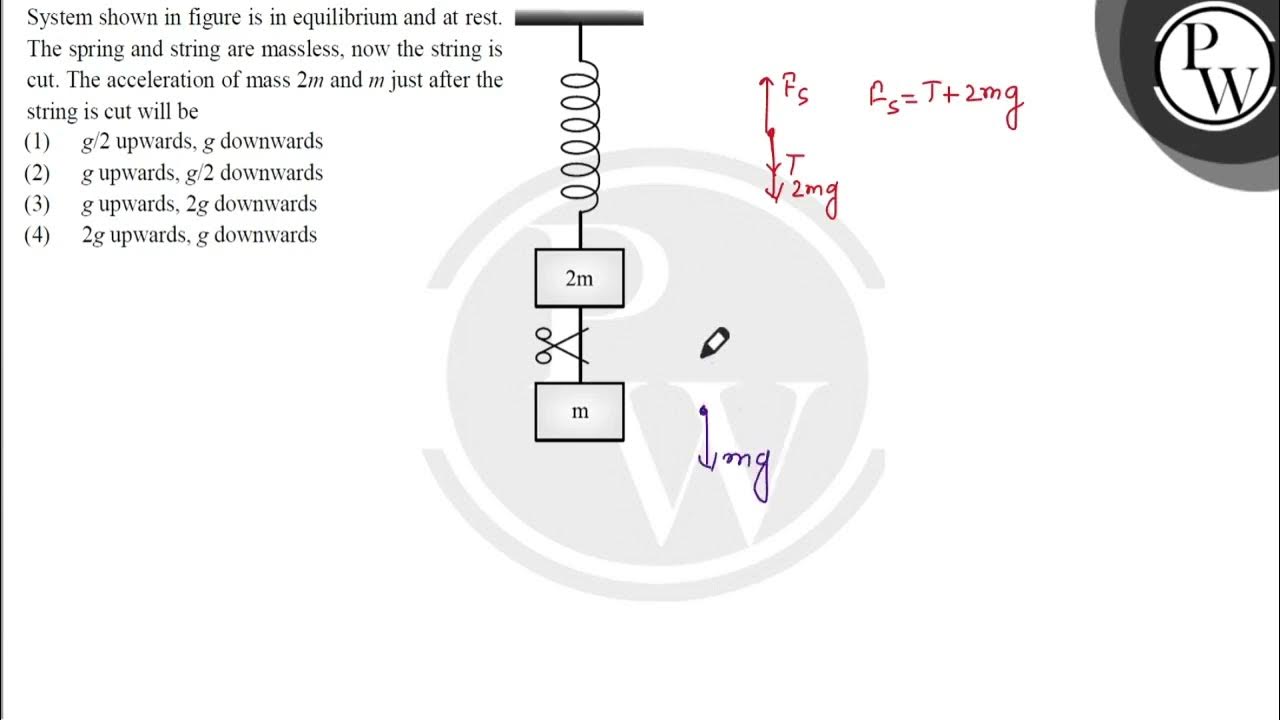 System shown in figure is in equilibrium and at rest. The spring and ...