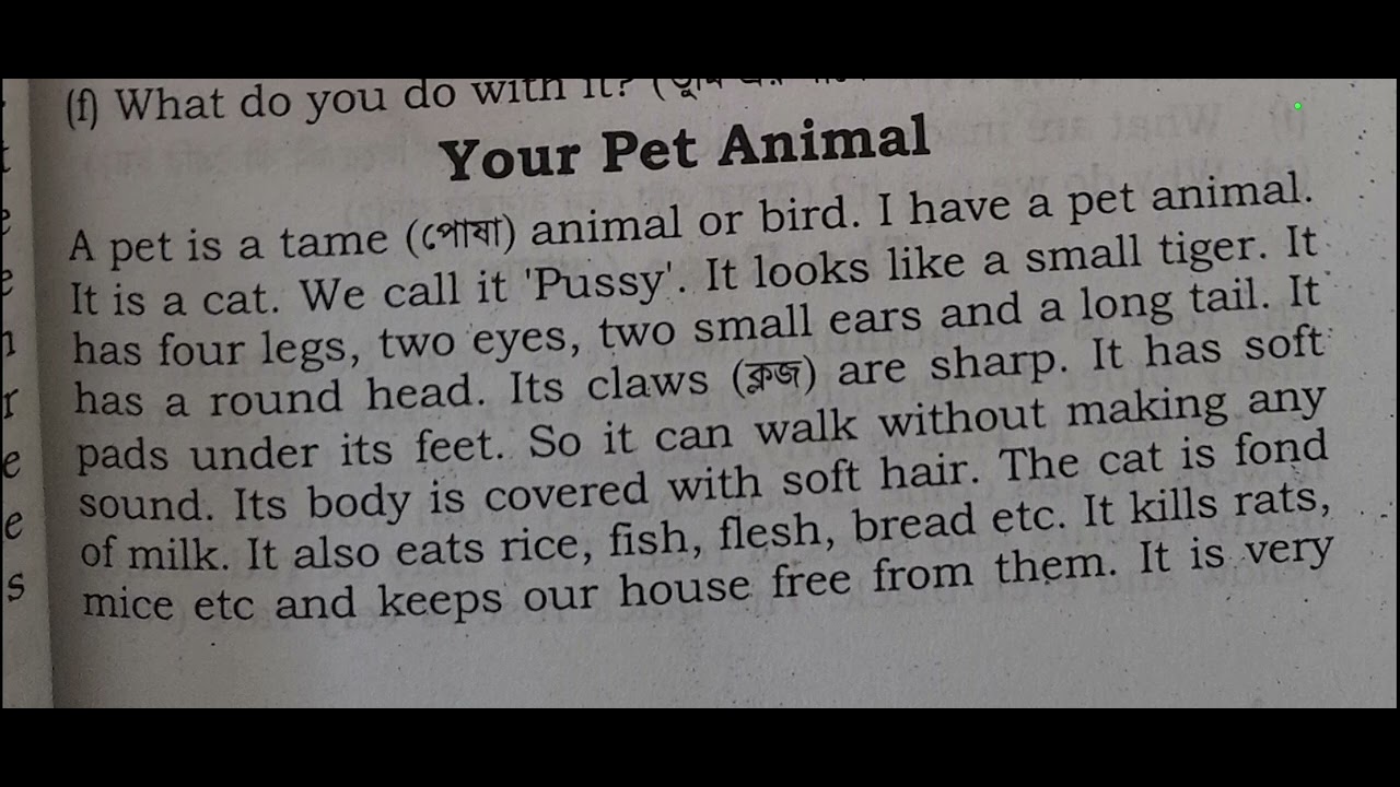 Paragraph Your pet animal - YouTube