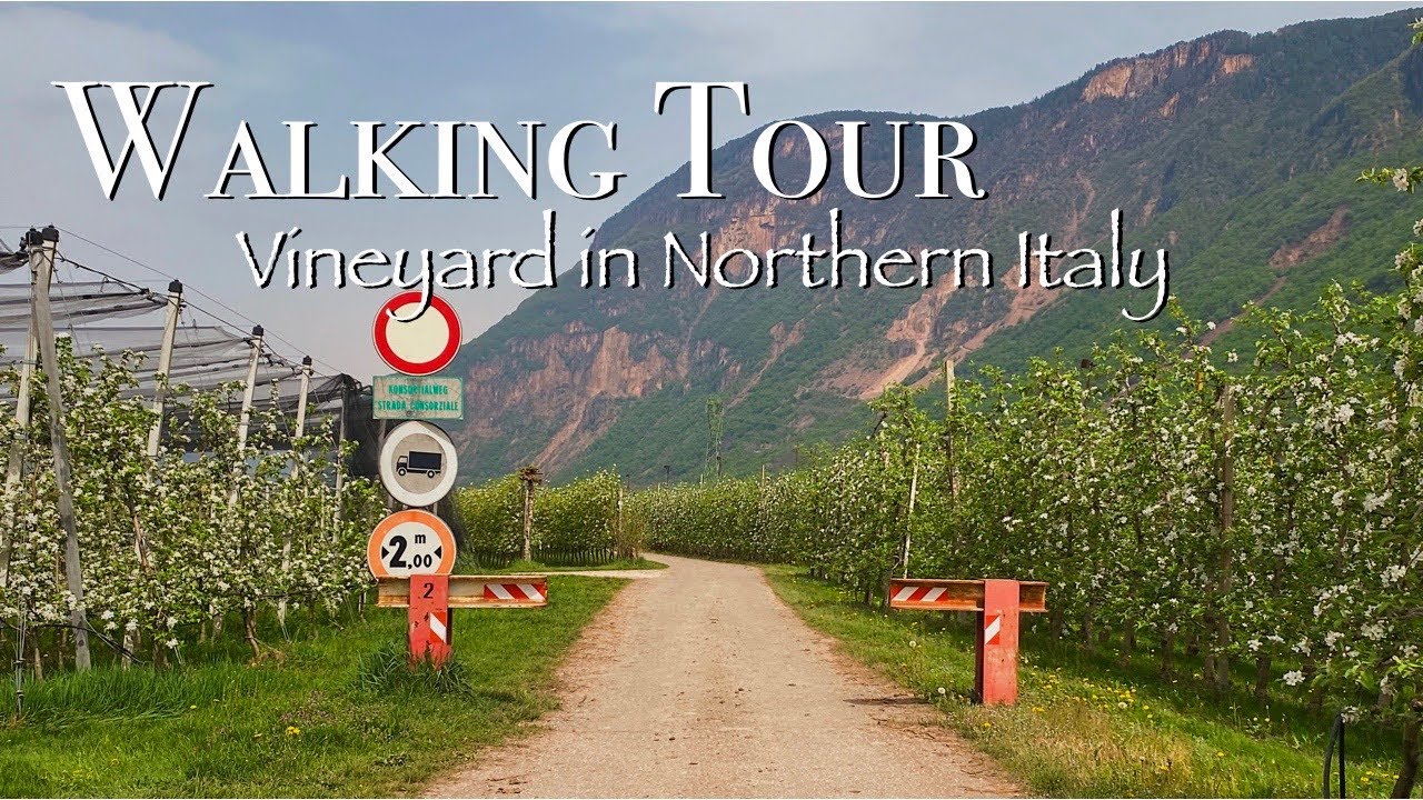 Ora, Italy [Vineyard] | Authentic Sound | 15+ minutes - YouTube