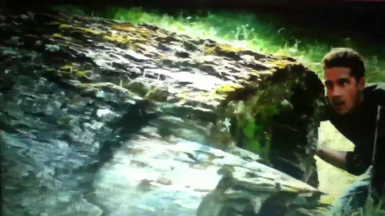 forest fight - YouTube