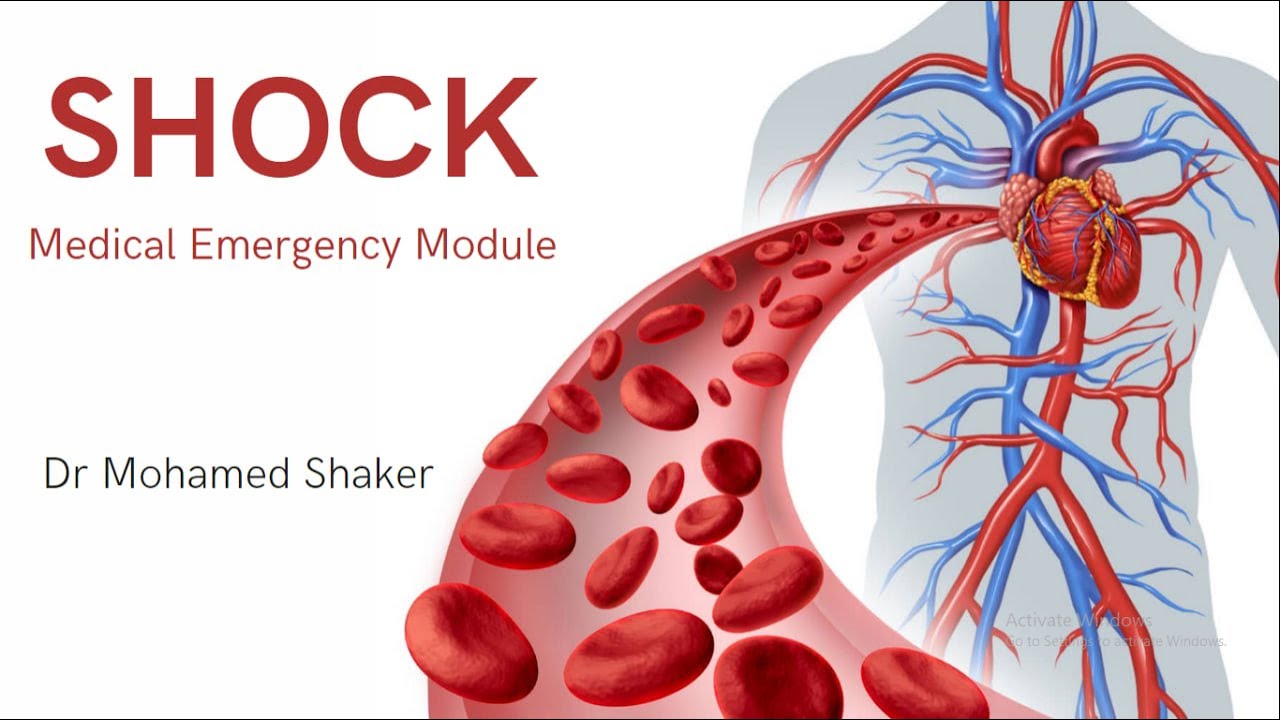 4- Medical Emergency: Shock - YouTube
