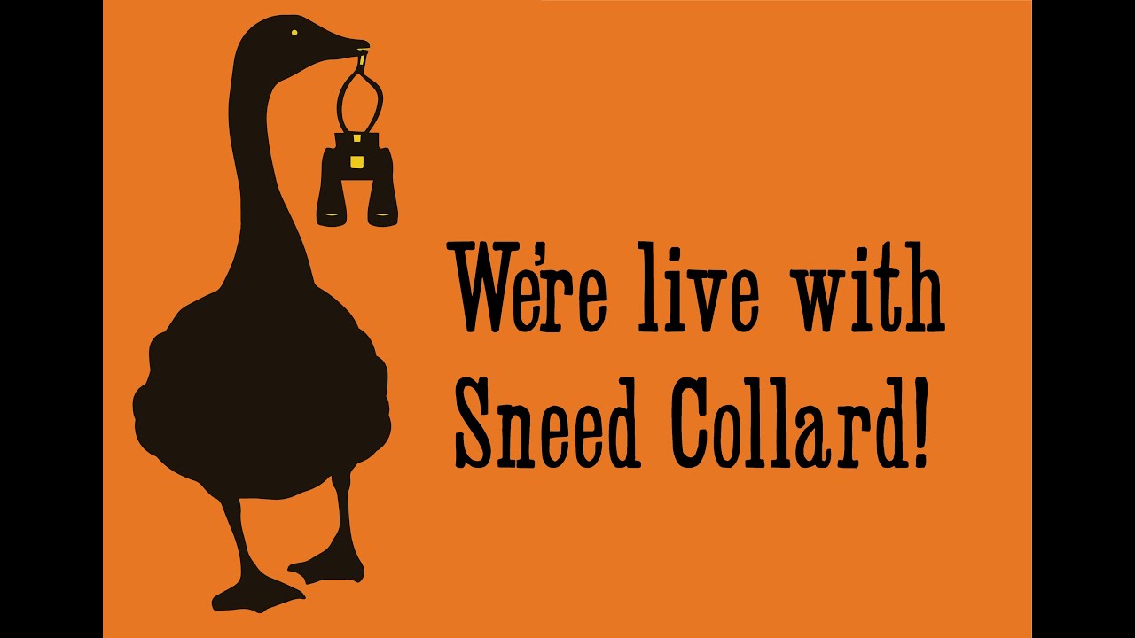 Sneed Collard Returns! - YouTube