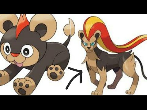 litleo evolution to pyroar - YouTube