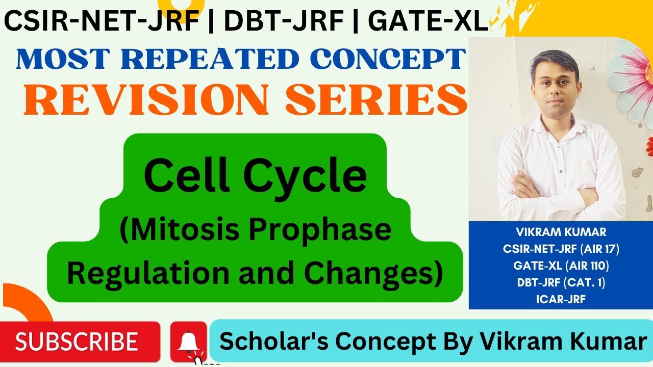 Mitosis Prophase | Prophase Regulation | Cell Cycle Regulation | Common ...