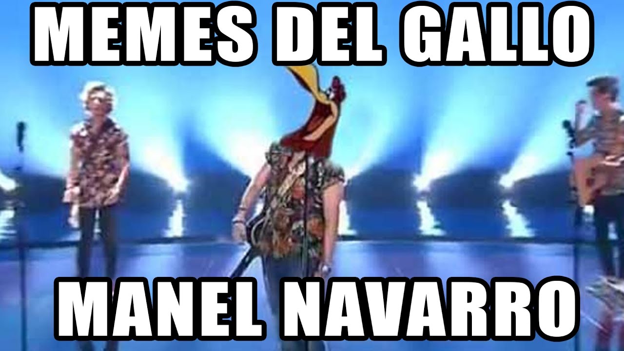 MEMES DEL GALLO DE MANEL NAVARRO REPRESENTANTE DE ESPAÑA - YouTube