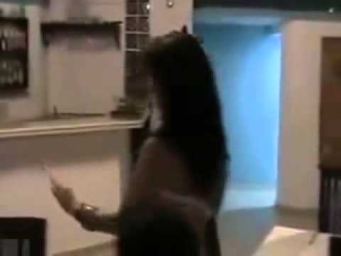 Super hot Belly Dance In Room Private