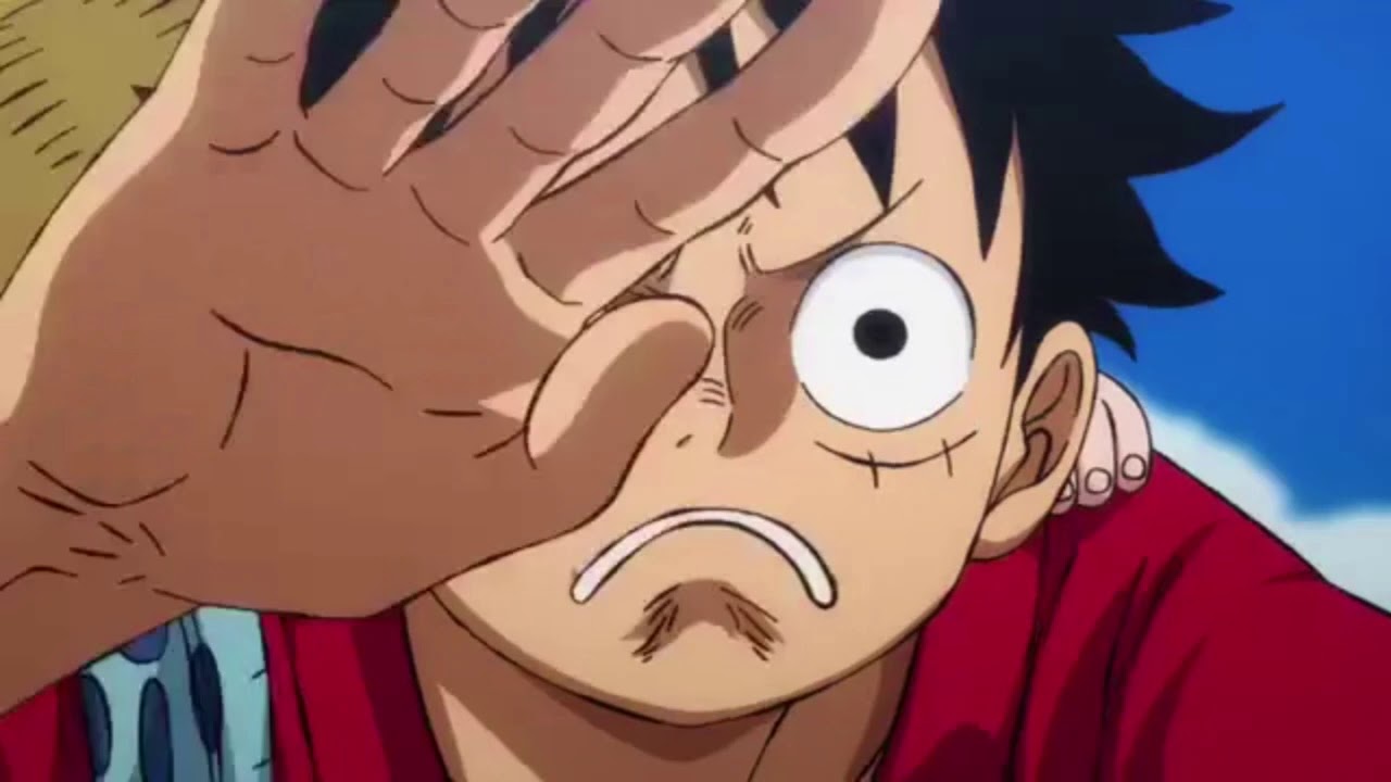 One piece Episode 897 - Luffy hugs zoro , first reunion zoro and Luffy ...