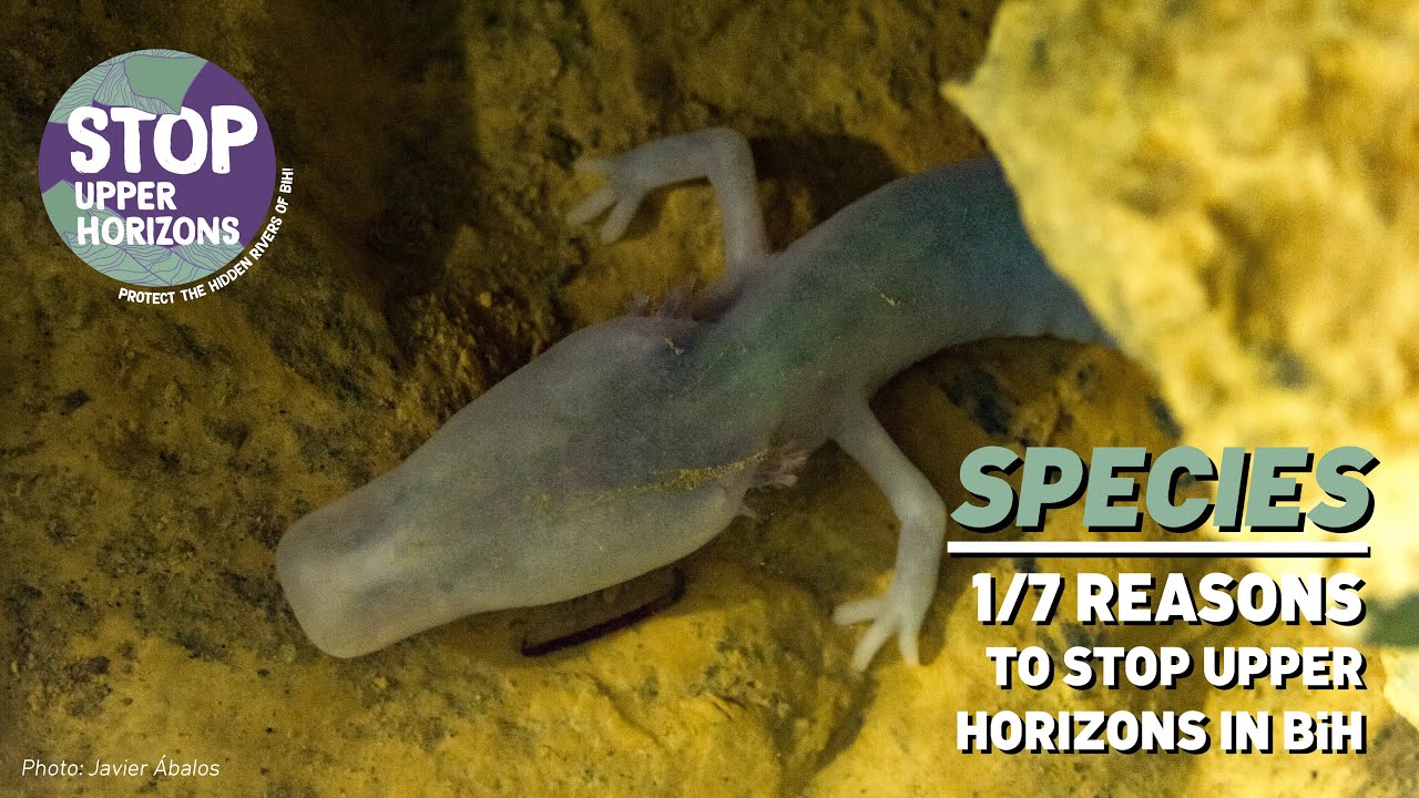 SEVEN REASONS TO STOP THE UPPER HORIZONS PROJECT IN BIH - No. 1 - YouTube