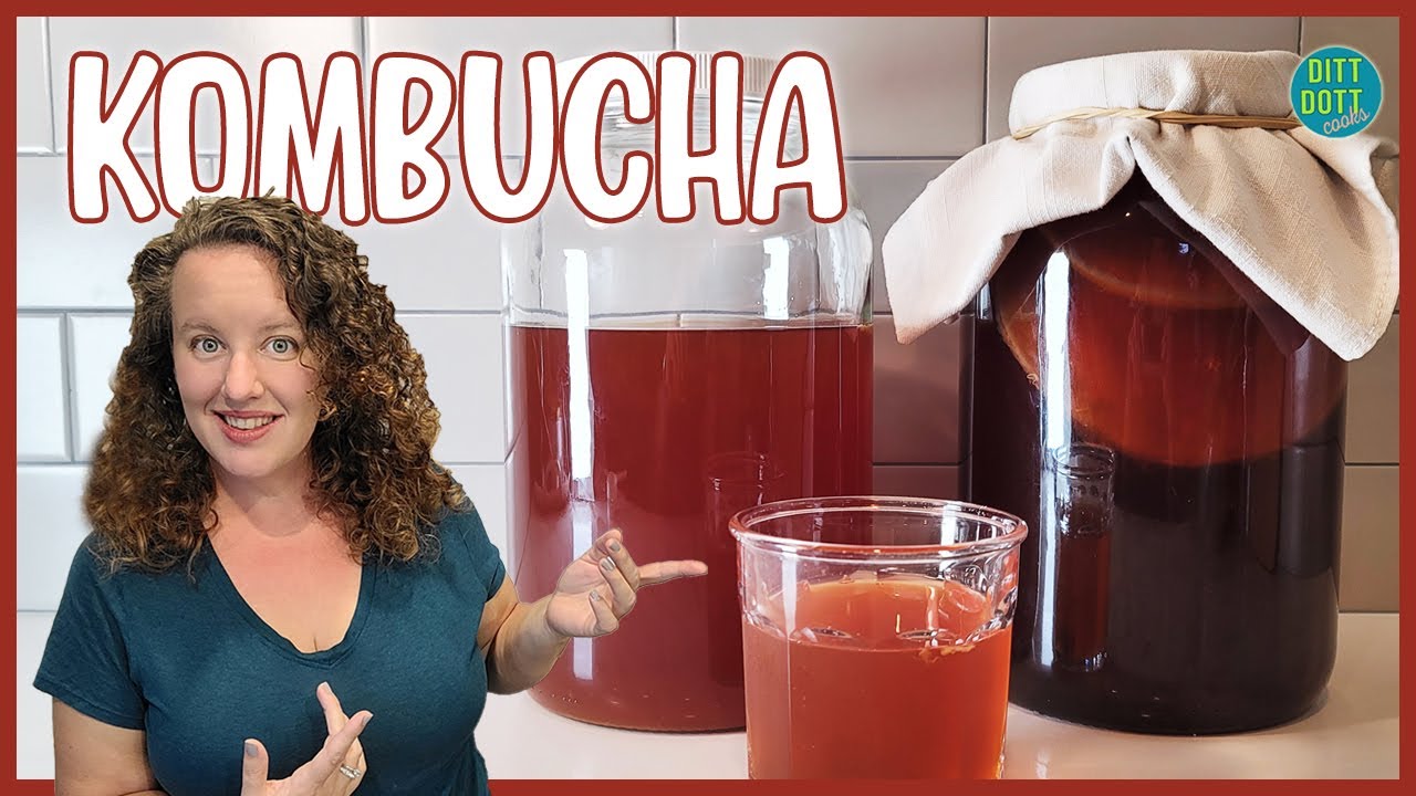 How to Homebrew Kombucha for beginners! - YouTube