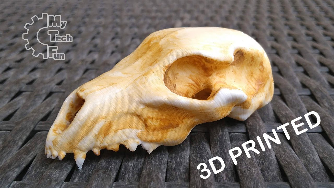 3D printed fox skull - from designing (Sculptris) to painting - YouTube