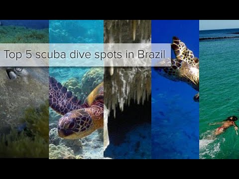 Scuba dive spots in Brazil: top 5 suggestions for your vacation trip in ...