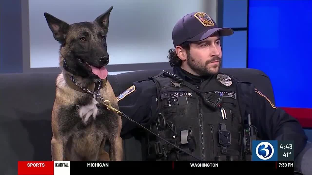 Amazing K9 Duos: Meet Officer Pollock and K9 Hero from the Bristol ...