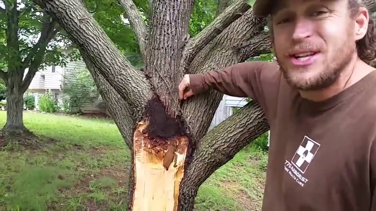 "The Landscaping Employee Trap Show" - YouTube