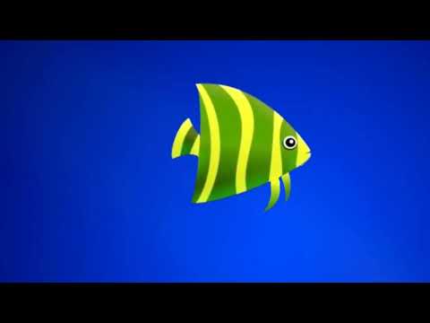 Fish Animation |Fishes| - YouTube
