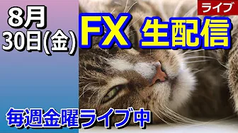 【TAKA FX】バルス！で動くか！？ FX生配信 8月30日（金）夜22時ごろ | 【FX】期待は裏切る 予想は超える TAKA｜YouTubeランキング