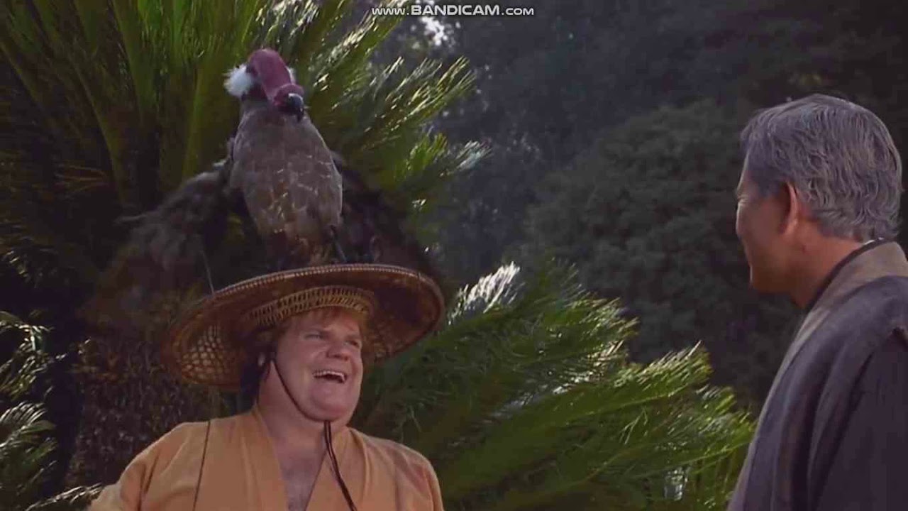 Beverly Hills Ninja Haru