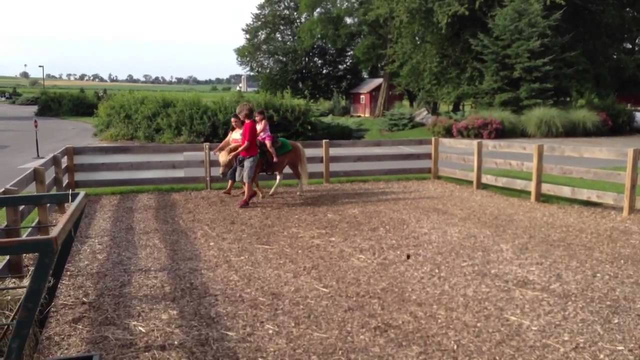 Gabi's first pony ride - YouTube
