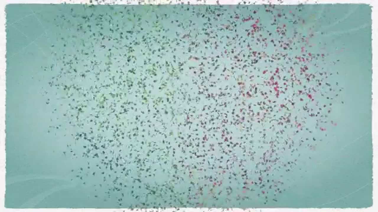 Cocina Saludable de NutraEase - YouTube