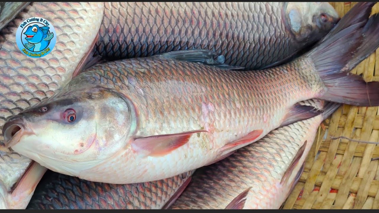 Excellent Fish Cutting Way l Big Rohu Fish Cleaning & Cutting By Fast ...