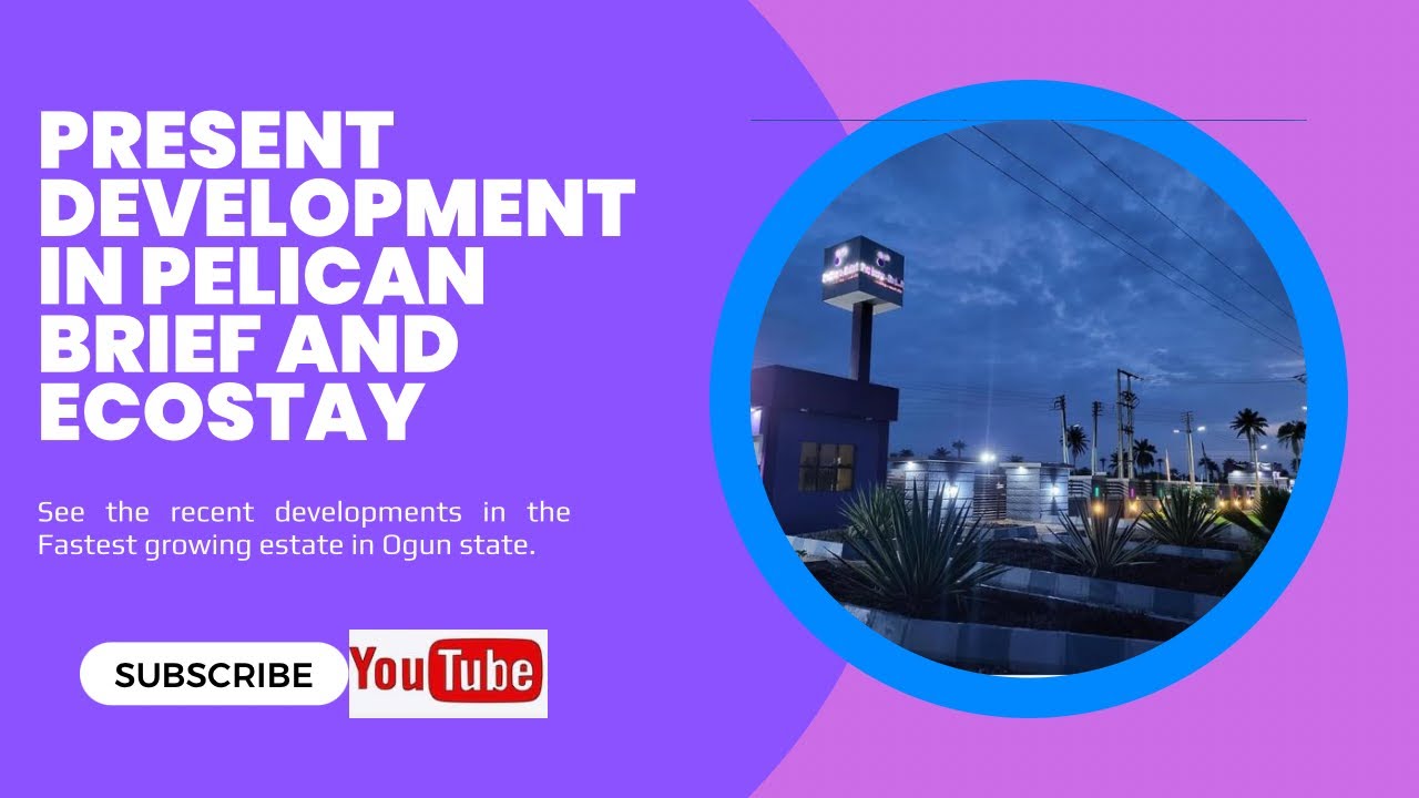 Present development in Pelican Brief and Ecostay - YouTube