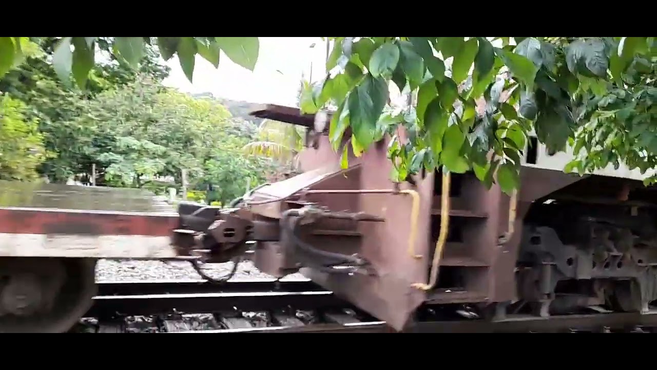 Cruzamento/Escoteiras/VL! 6024/6095 c/Trilheiro/Loc EFVM 9537! Dr Lund-Pedro Leopoldo-MG! - YouTube