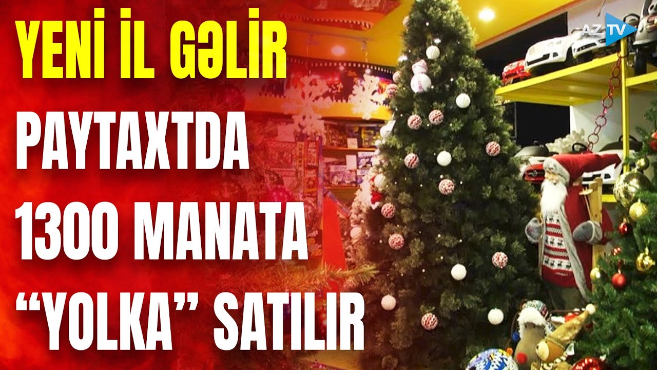 Yeni ilə hazırlıq necə gedir? – Paytaxtda “yolka”ların qiyməti 12-1300 ...