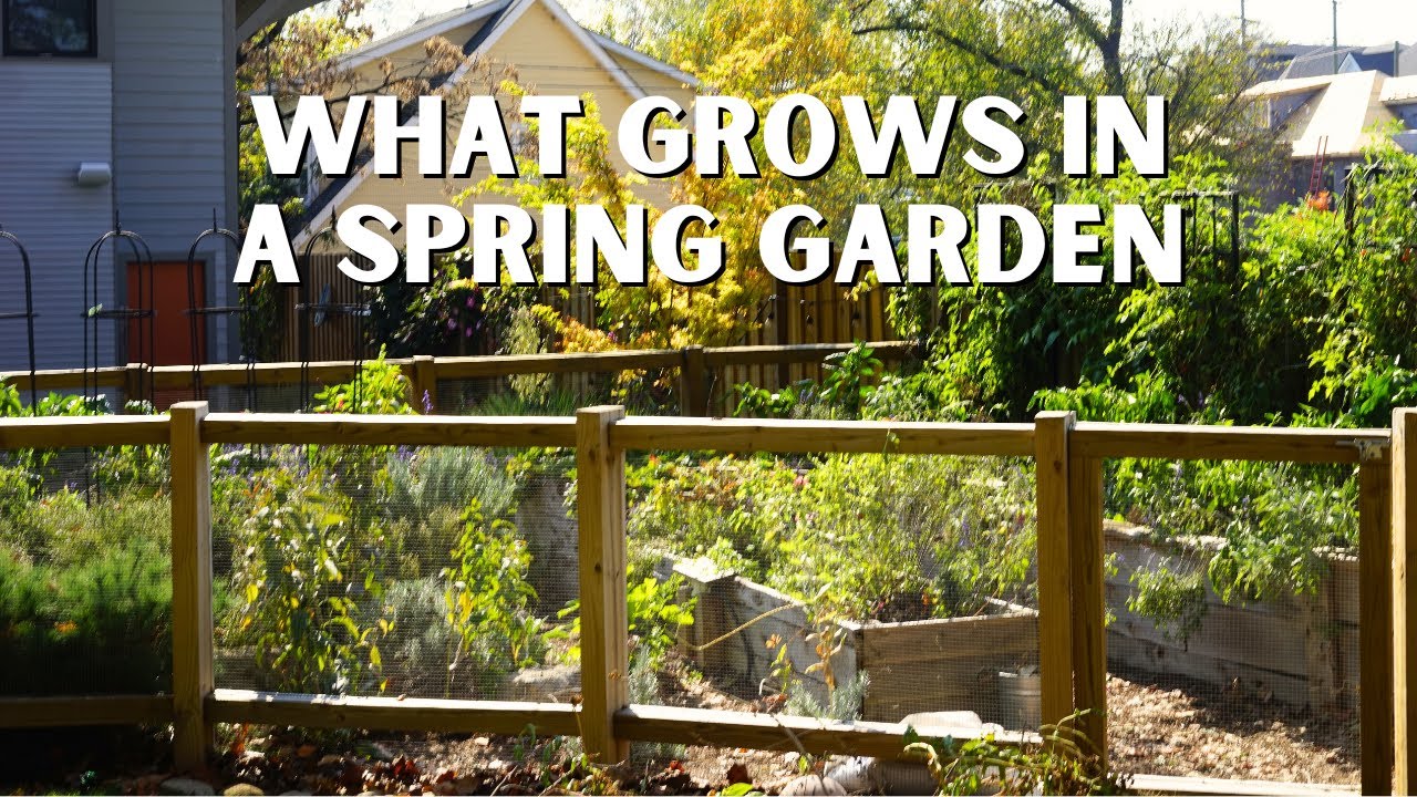 How to Plant a Thriving Spring Garden – Easy & Productive! - YouTube