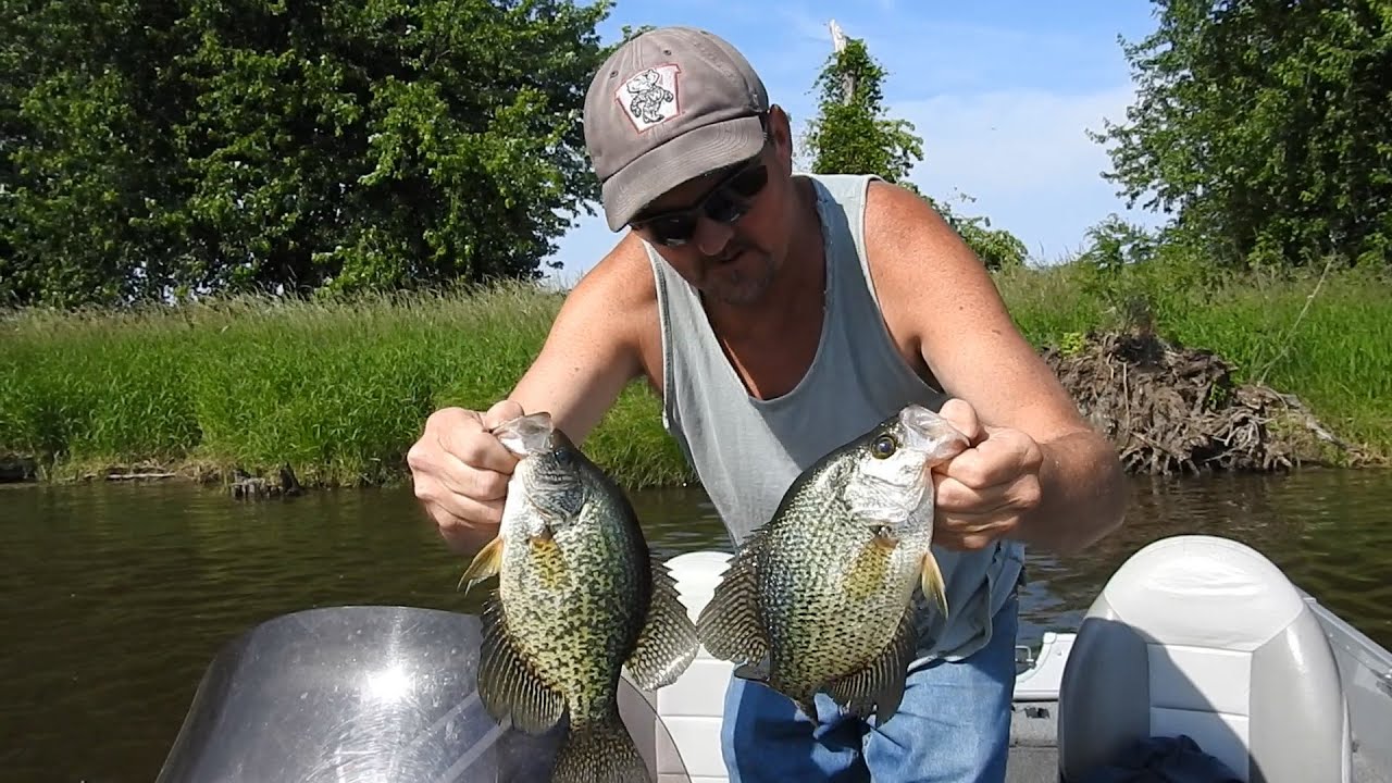 Hunting For Summer Slab Crappies! Super Easy Technique! - YouTube