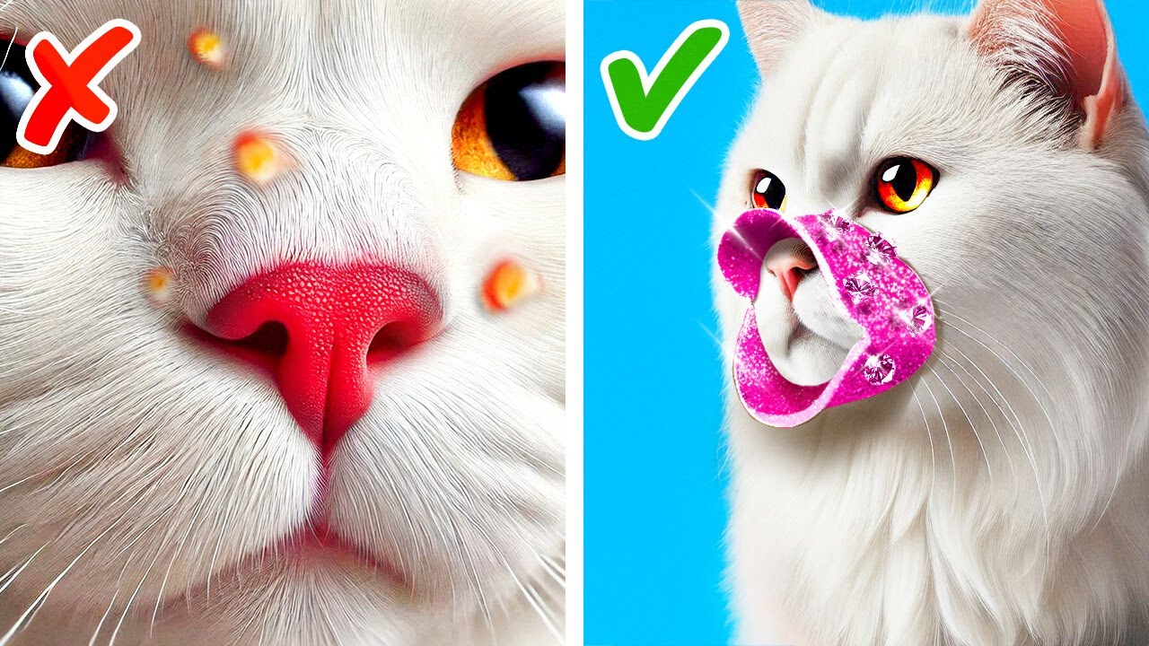 We Tested Viral Pet Gadgets To Keep Your Animals Save 🐾COOL Crafting ...