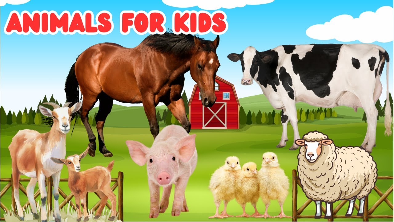 Fun Farm Animals for Kids: Learn Animal Sounds and Facts! - YouTube