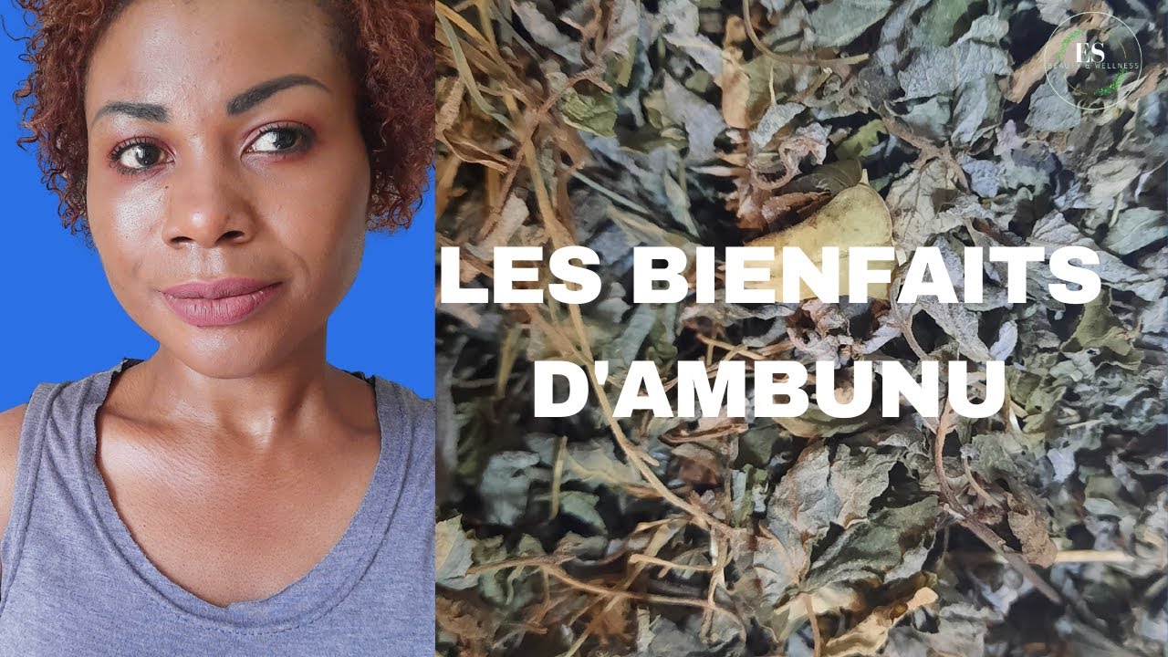Les bienfaits de la plante ambunu - YouTube