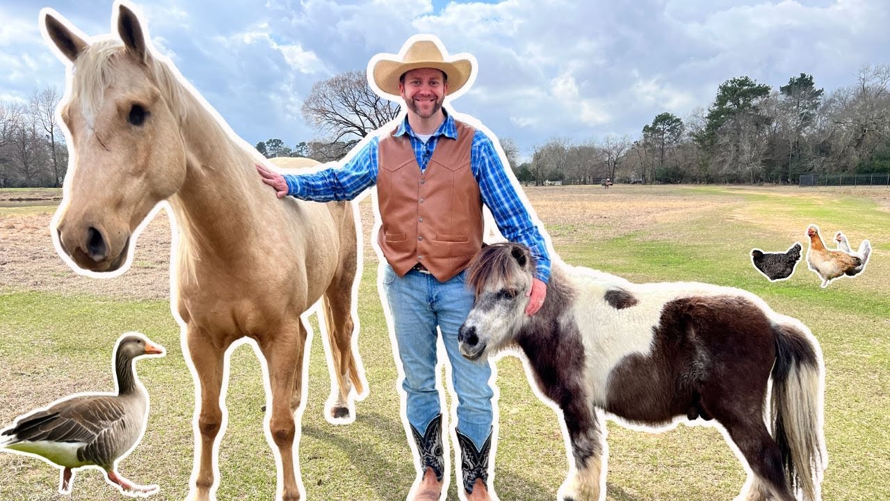 Tour the Farm and Meet Animals | Cowboy Jack - YouTube