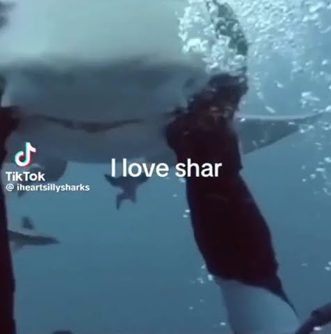 I love shar - YouTube